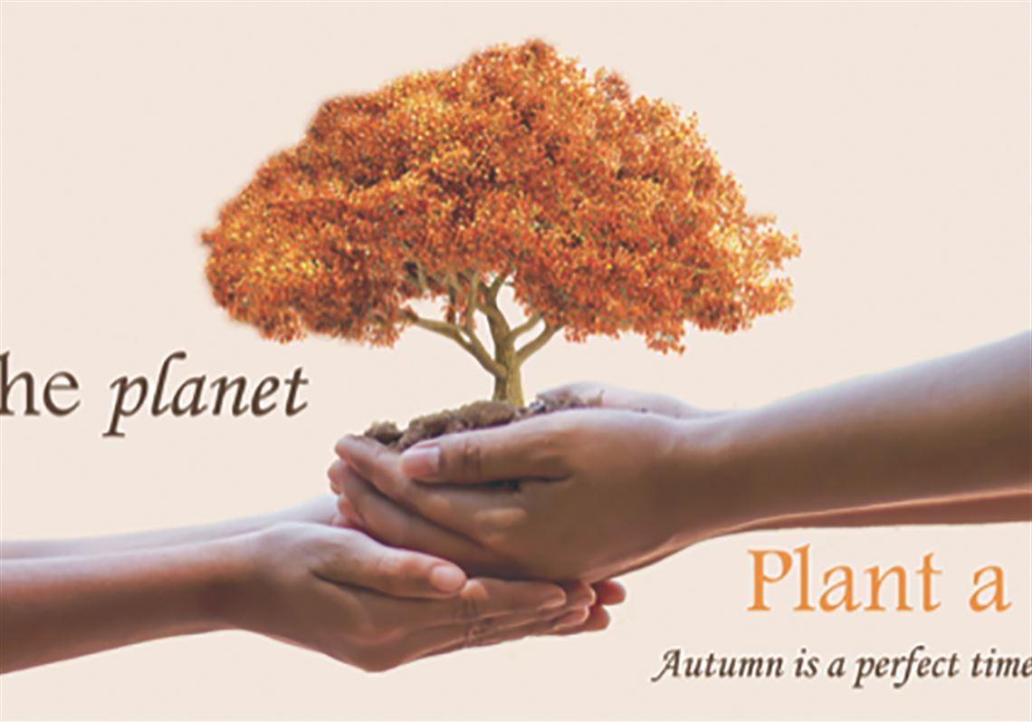 A billboard on Bigelow encourages us to plant trees this season ...