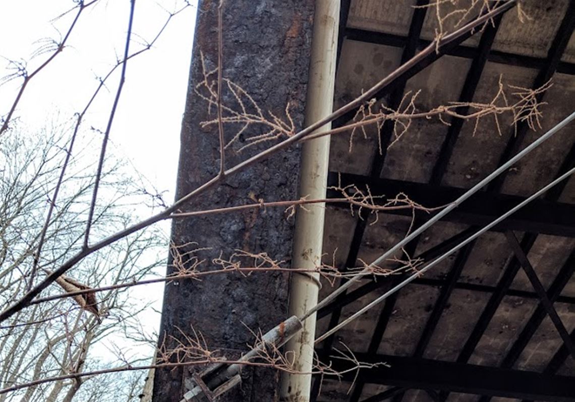 Pittsburgh man's 2018 photo shows rusted support under bridge that ...