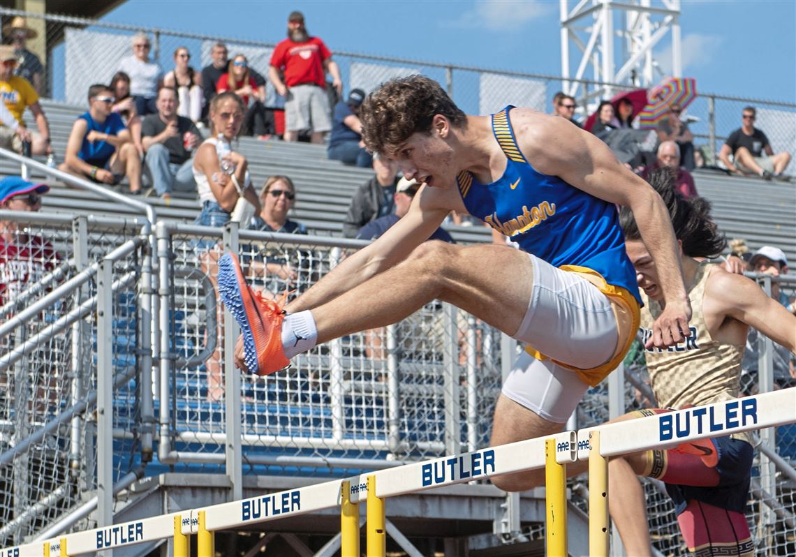 'Mr. Versatility': Hampton's Matt DeMatteo a jack-of-all-trades ...