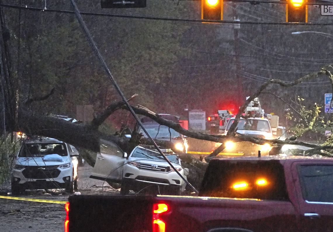 Man killed by falling tree during Tuesday night storm was longtime Post ...