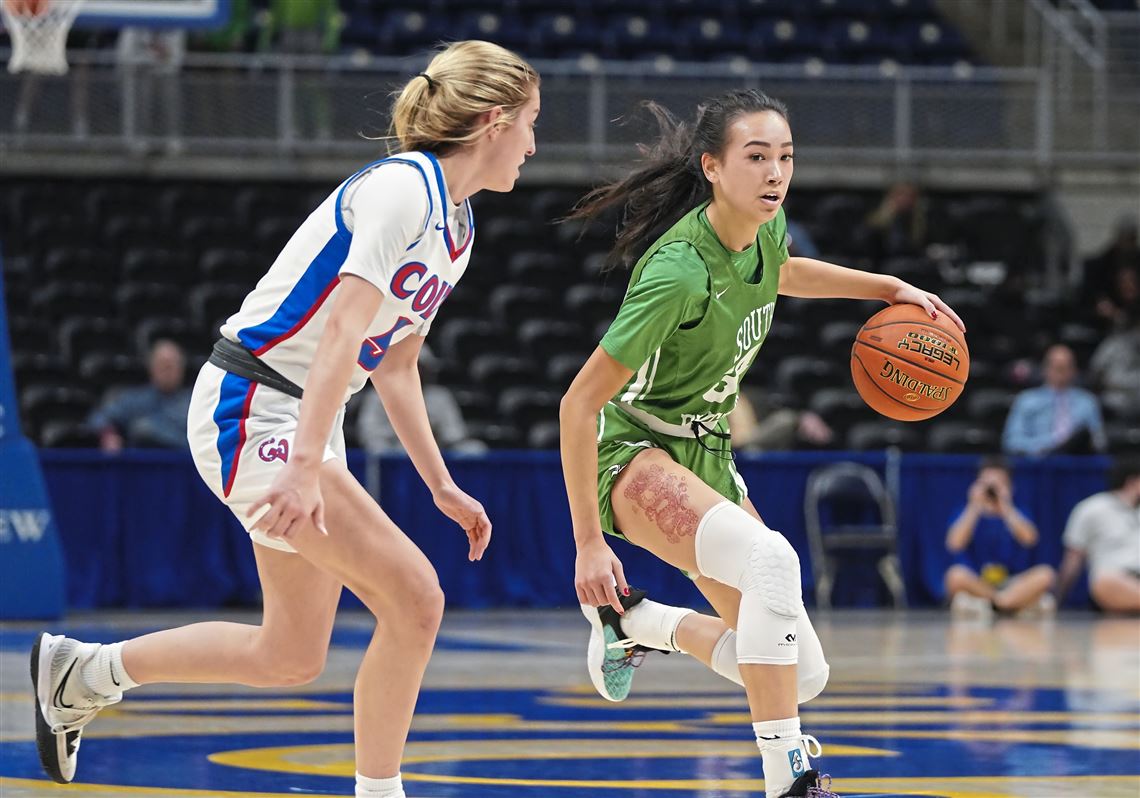 PIAA girls basketball playoffs roundup: Maddie Webber's buzzer-beater ...