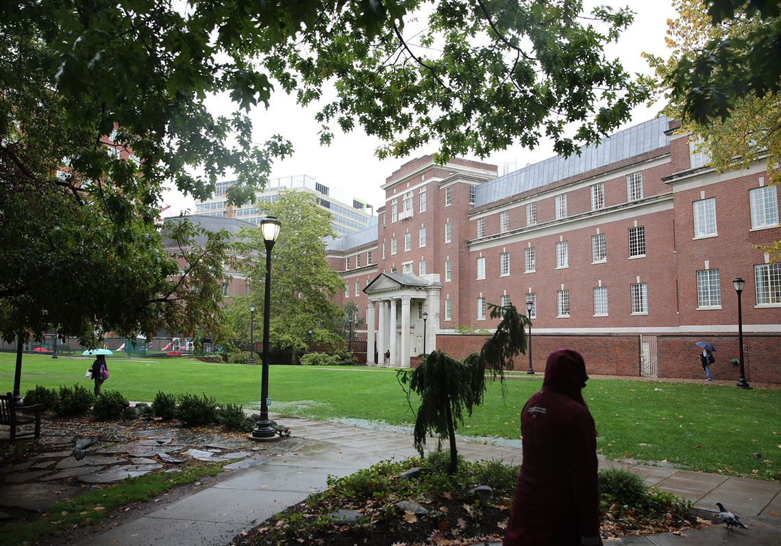 Peter Kalis: The DEI delusion and the reality of meritocracy ...