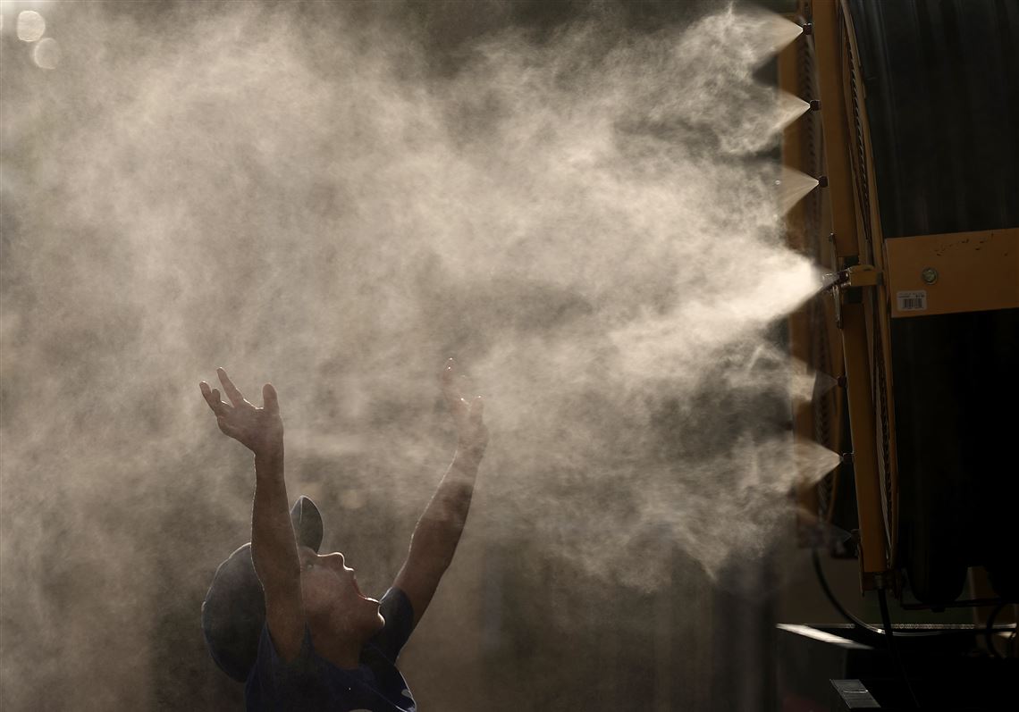 Sarah Green Carmichael and F.D. Flam: How much summer heat will kill ...