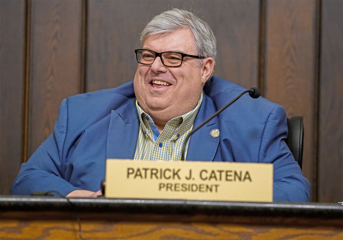 Council introduces legislation tweaking appointment and removal process ...