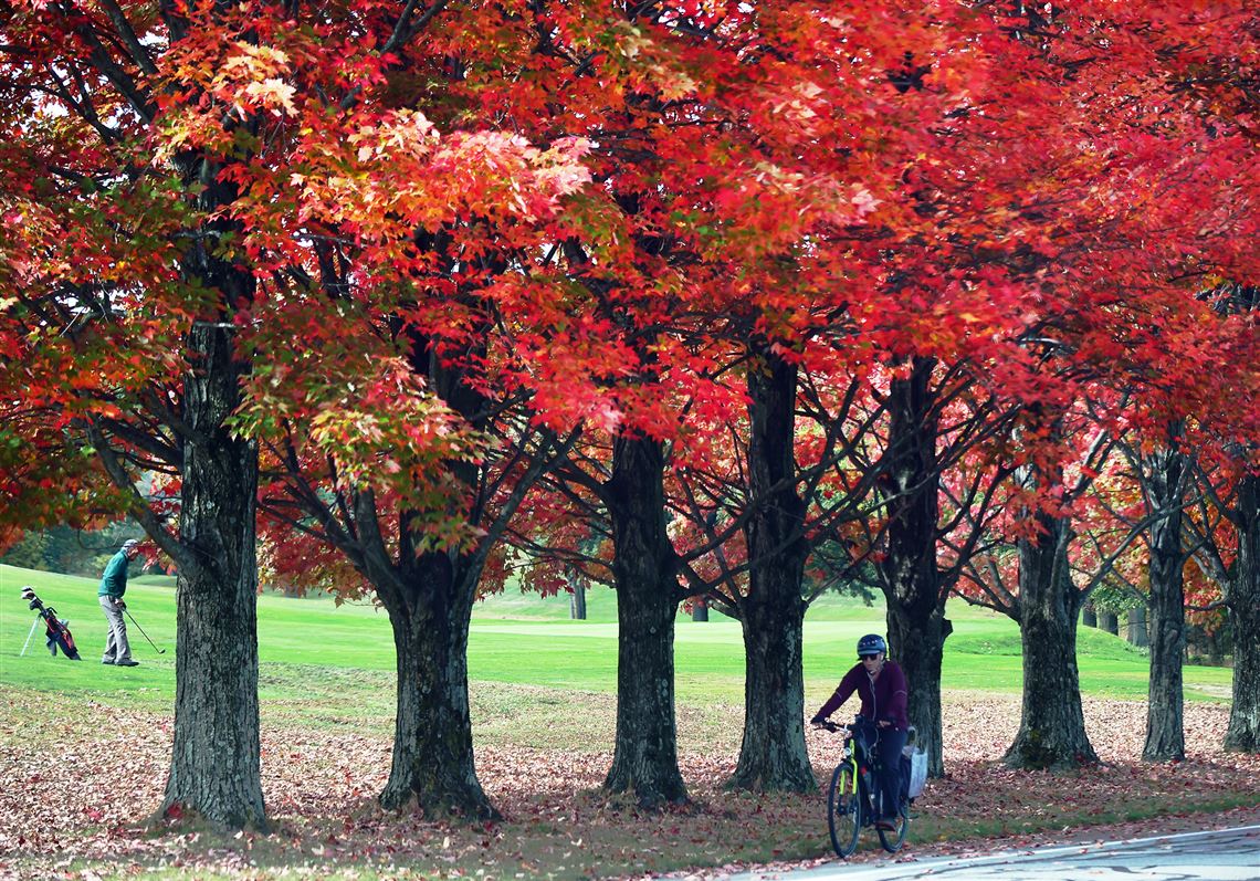 Western Pa.’s fall foliage colors will hit their peak over the next ...