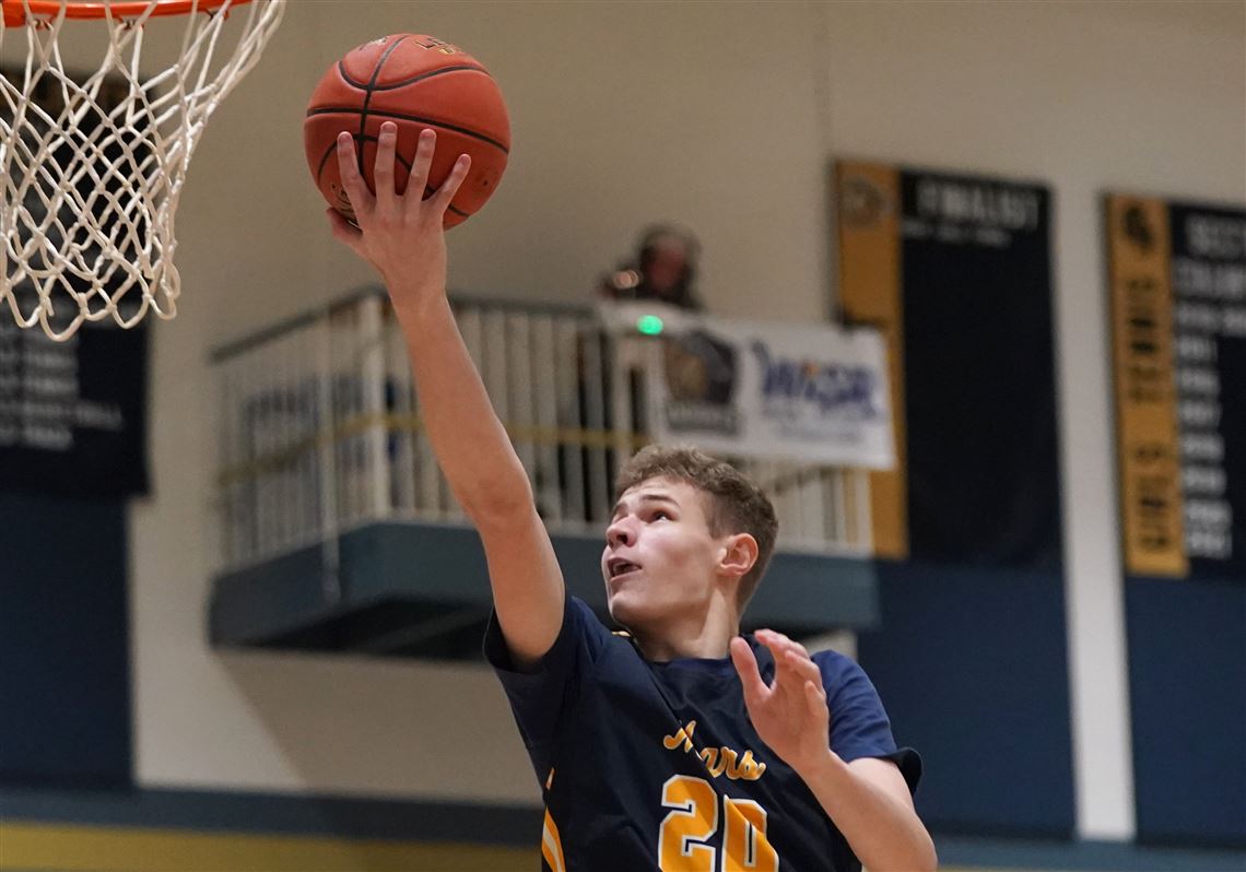 Mars' Ryan Ceh goes from reserve to one of WPIAL's top basketball ...