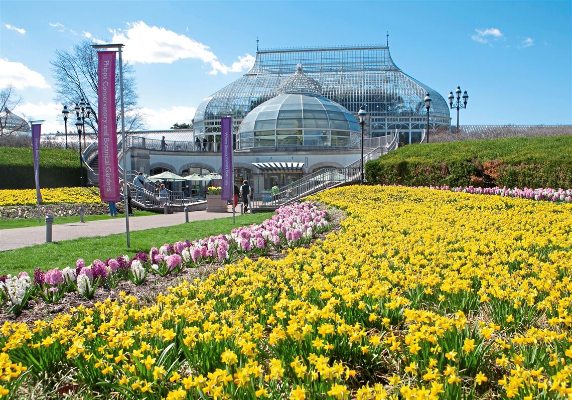Spring Flower Show, 'Madama Butterfly,' Matt Rife and more things to do ...