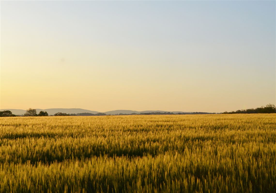 Take a look inside Butler County's CNC Malt, Western Pa.’s only ...