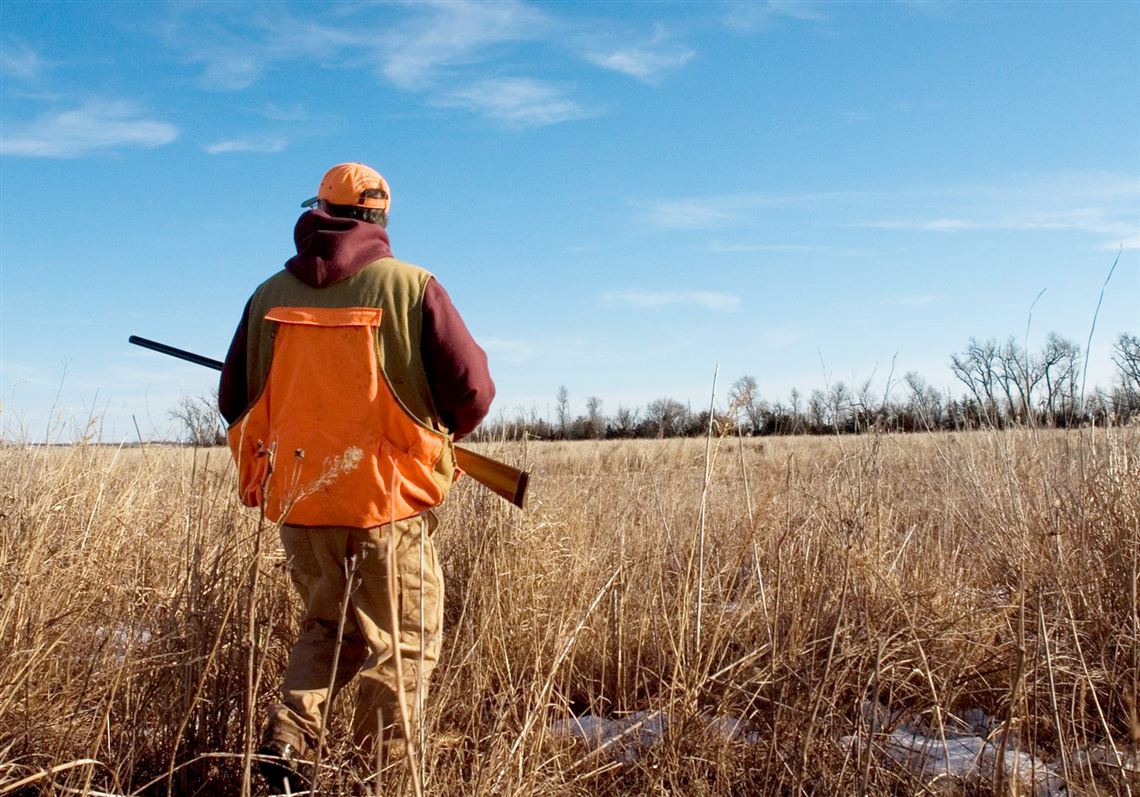 Hunters donate more venison as deer damage inceases on farmlands ...