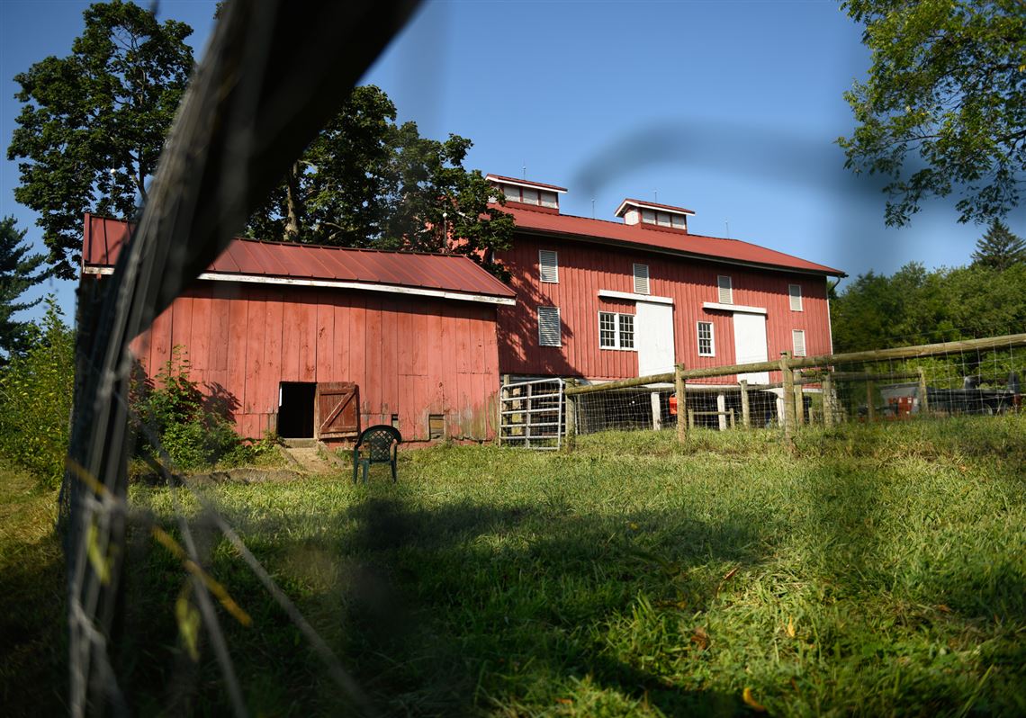 Gilfillan Farm Garden Fete unveils the Big Red Barn to the public ...