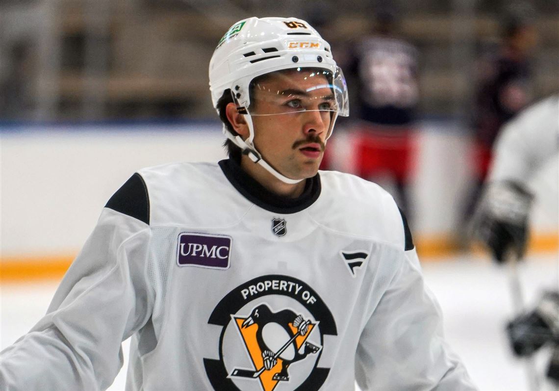 With two more goals Sunday in Buffalo, prospect Avery Hayes looks ...