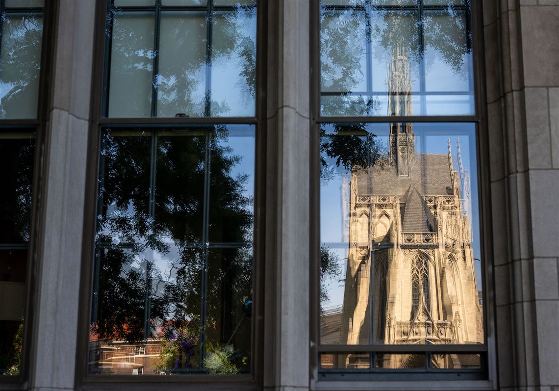 Eric Hayot and Paula Krebs: It's not about Palestine, DEI or trans ...