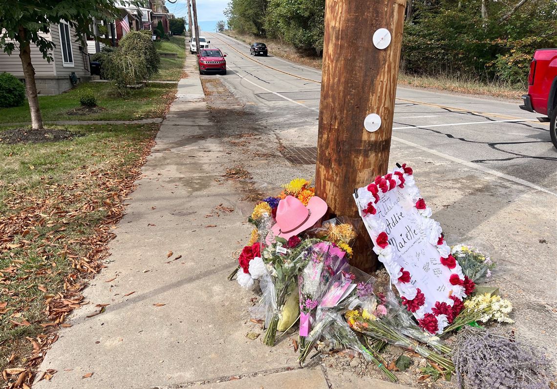 West View residents push for changes to Highland Avenue, where North ...