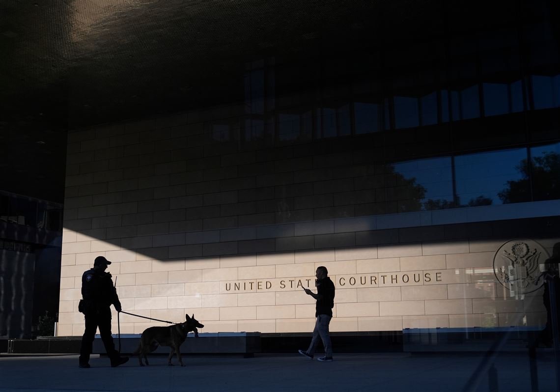 Court-appointed lawyers and their clients face fallout from government ...