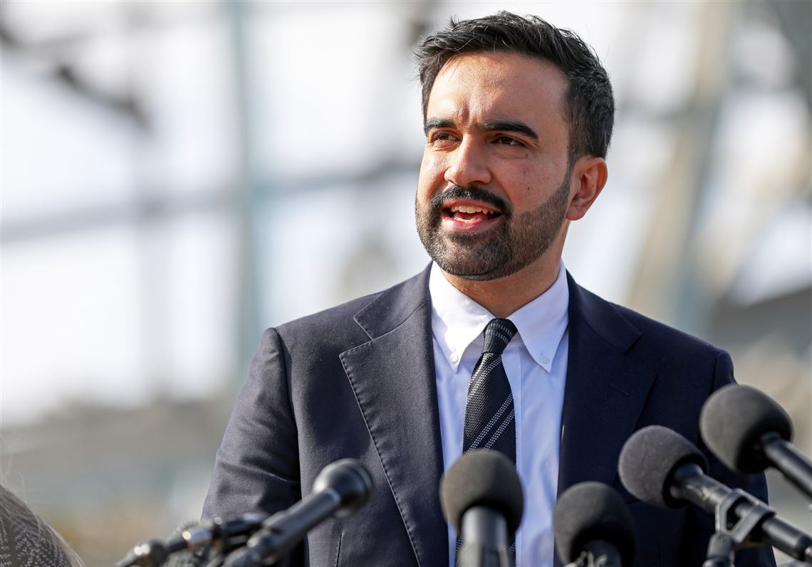 Bernard S. Sharfman: Zohran Mamdani threatens the Democratic big tent ...