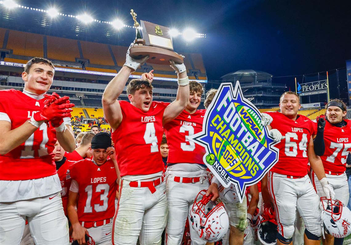 WPIAL Class 3A championship: Defense, two pick-sixes help Avonworth ...