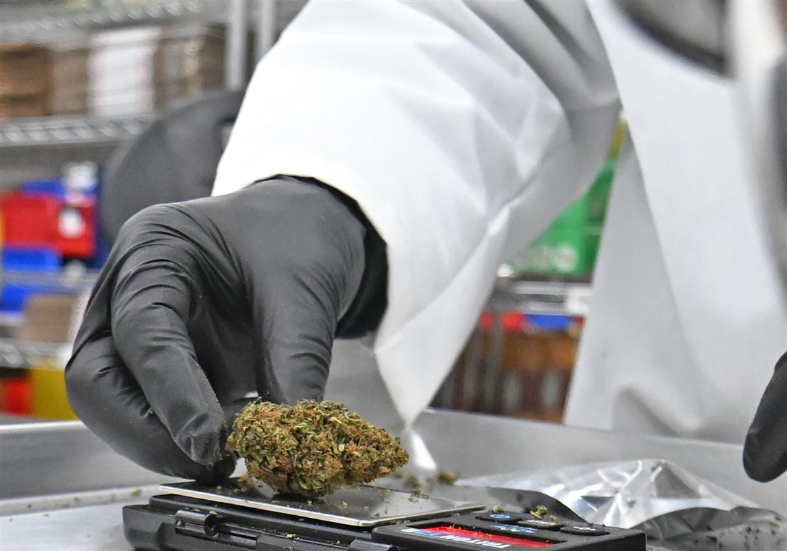 Hemp ban in government spending bill could destroy the industry ...