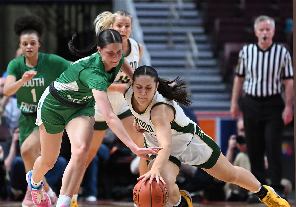 High school girls basketball highlights: Juliette Leroux paces South ...