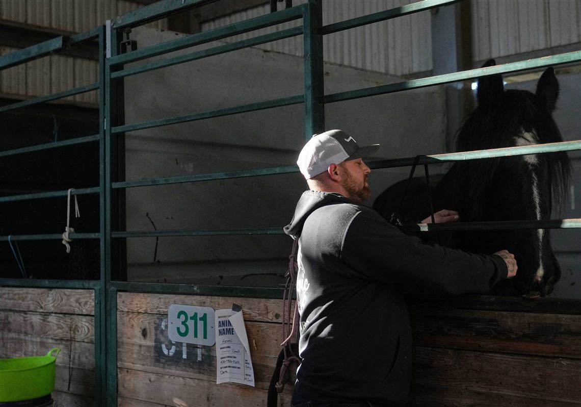 Arctic air sweeps south as residents of the Pacific Northwest remain on ...