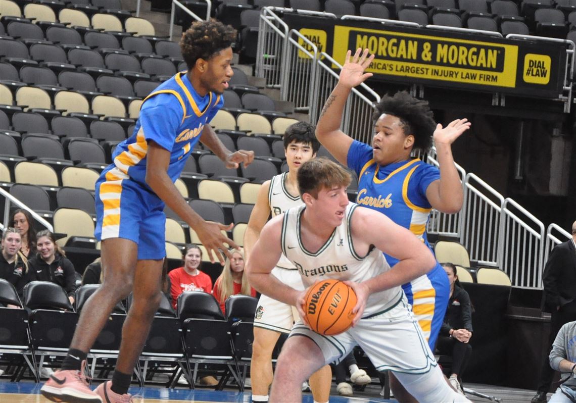 Lukas Stead comes up big late as Allderdice beats Carrick in Holiday ...