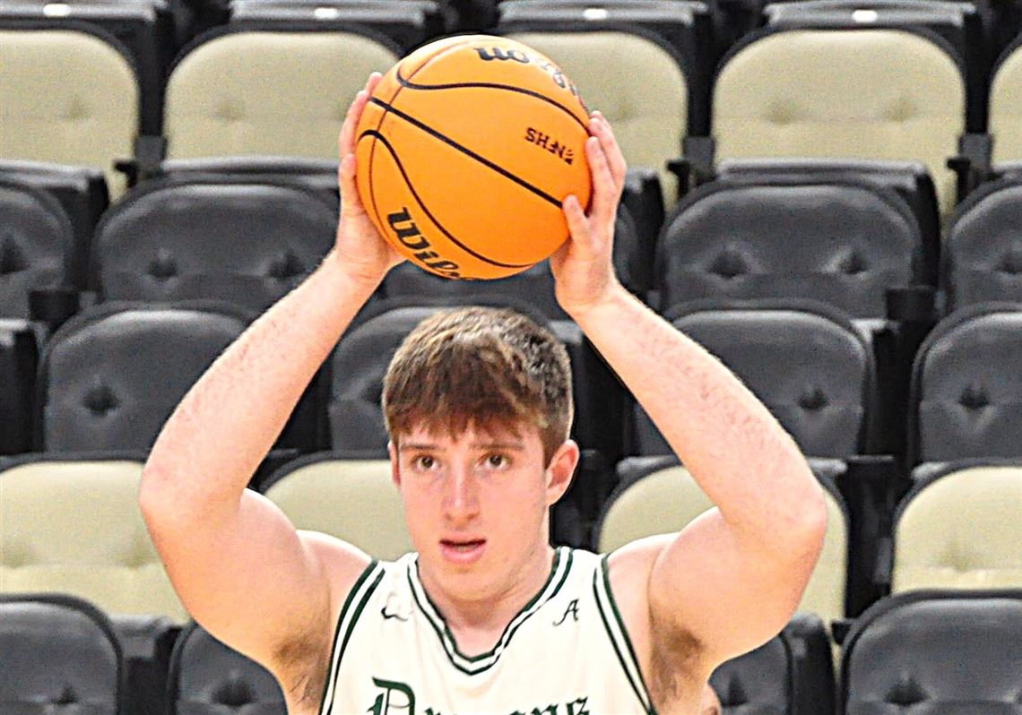 Lukas Stead comes up big late as Allderdice beats Carrick in Holiday ...