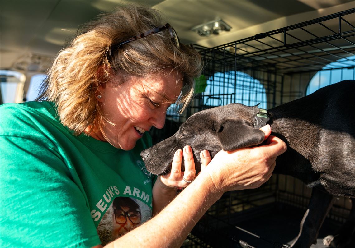 How a tragic plane crash built a volunteer army of pet rescuers ...