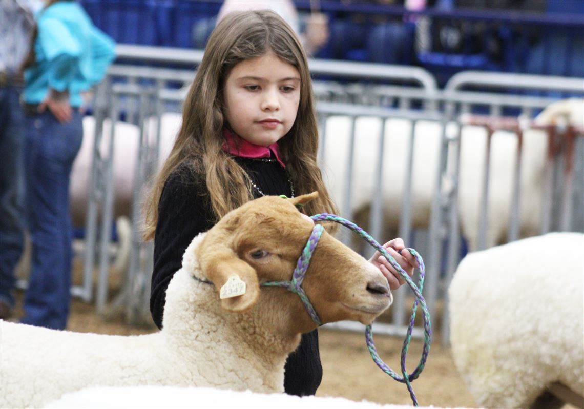 Pennsylvania Farm Show kicks off with large crowds | Pittsburgh Post ...