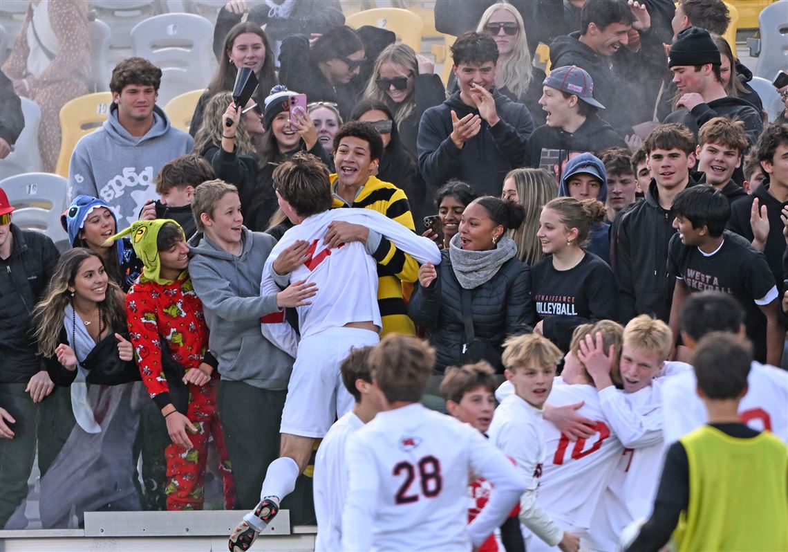 PIAA soccer championships are coming to Highmark Stadium this fall ...