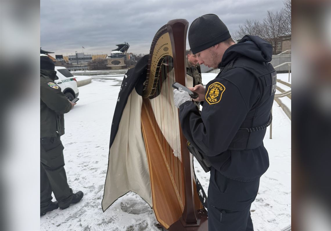 Man leaves stolen $30K harp at riverbank before jumping into water at ...