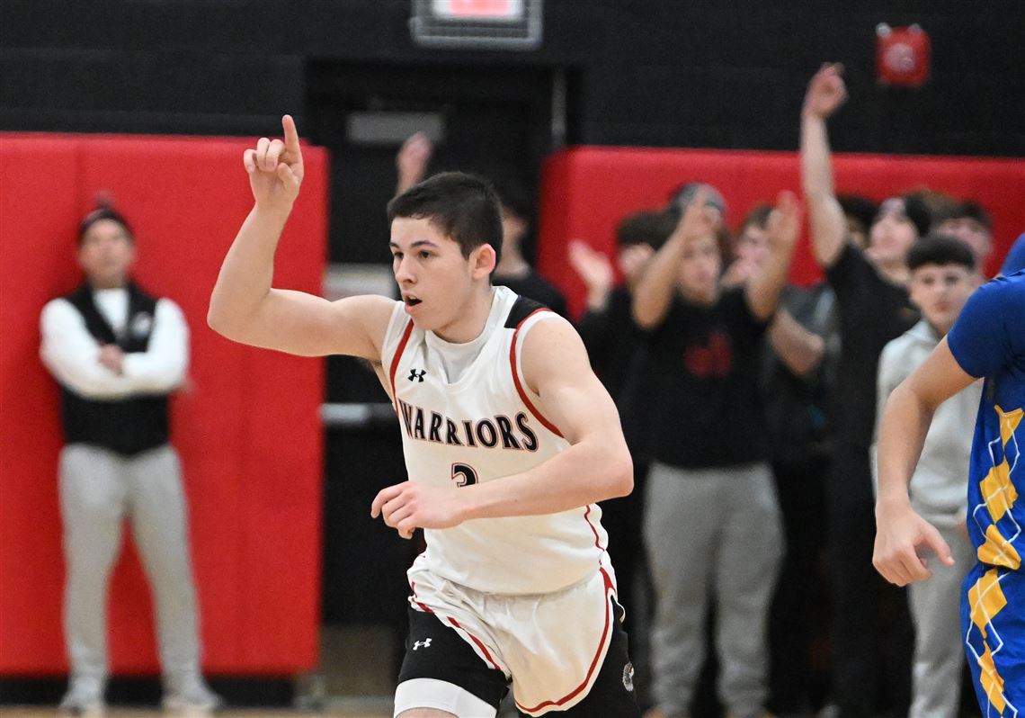 High school boys basketball playoff highlights: Elizabeth Forward ...