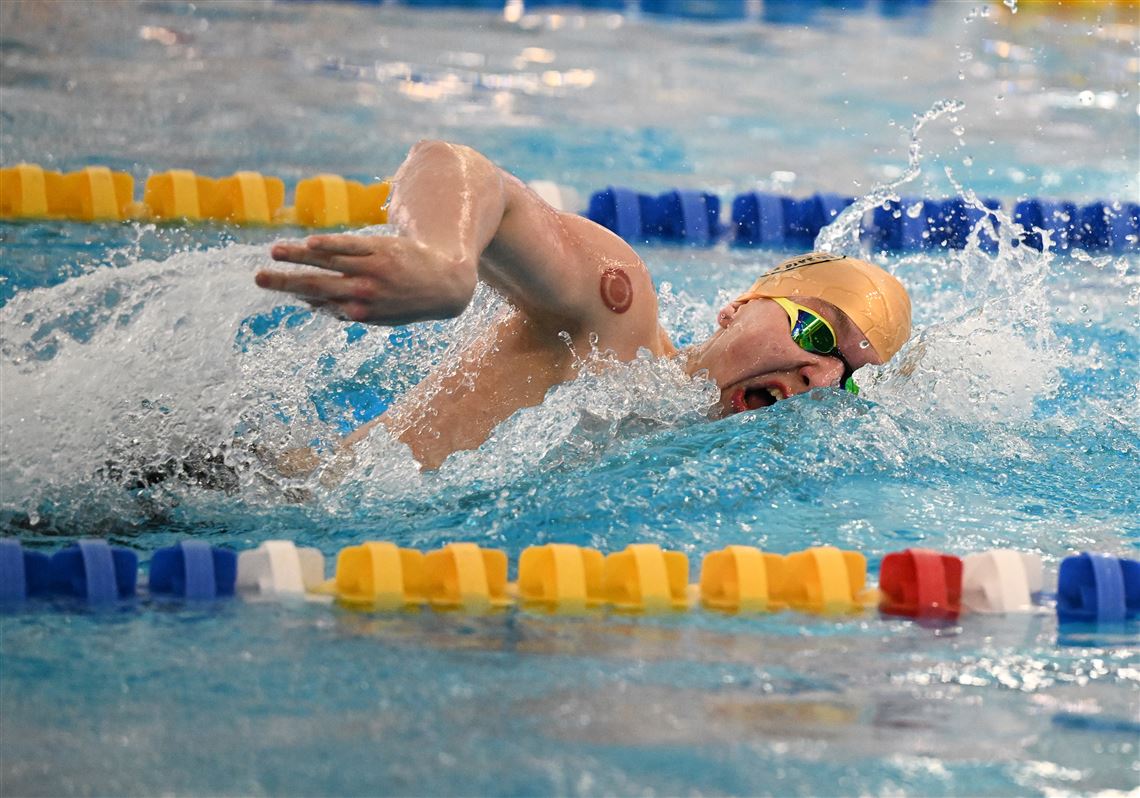 WPIAL Class 2A swimming finals: Northgate dominates the pool with four ...