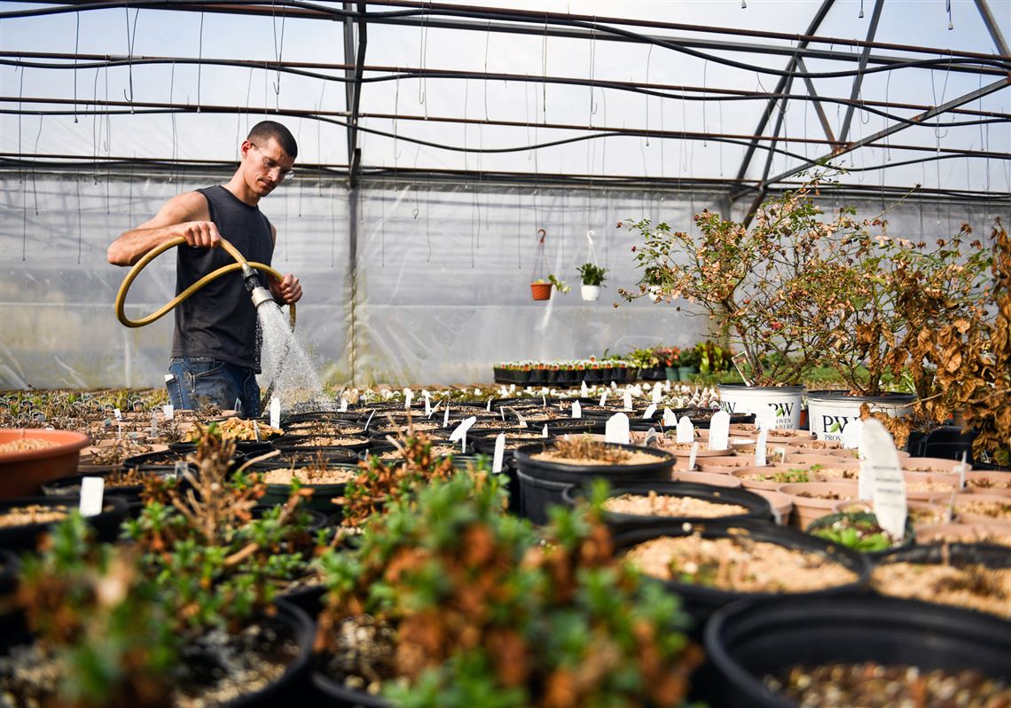 How Pittsburgh is cleaning up before the 2026 NFL Draft | Pittsburgh ...