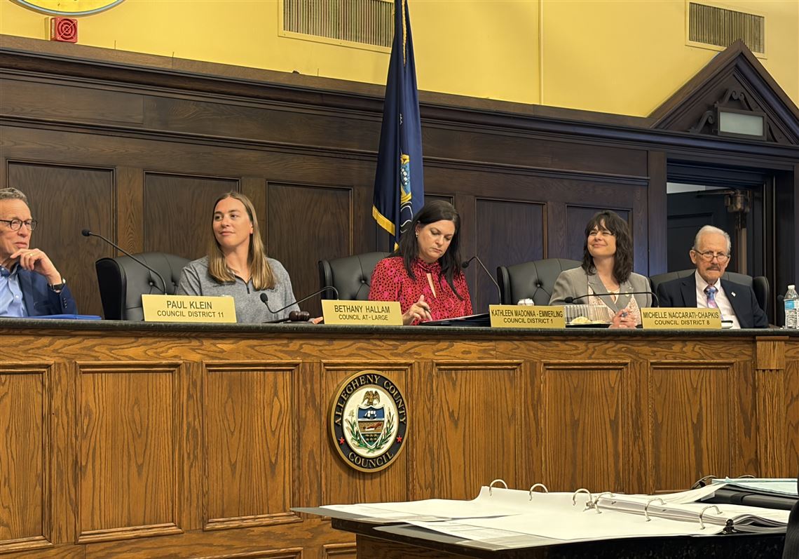 Allegheny County Council elects Michelle Naccarati-Chapkis as president ...